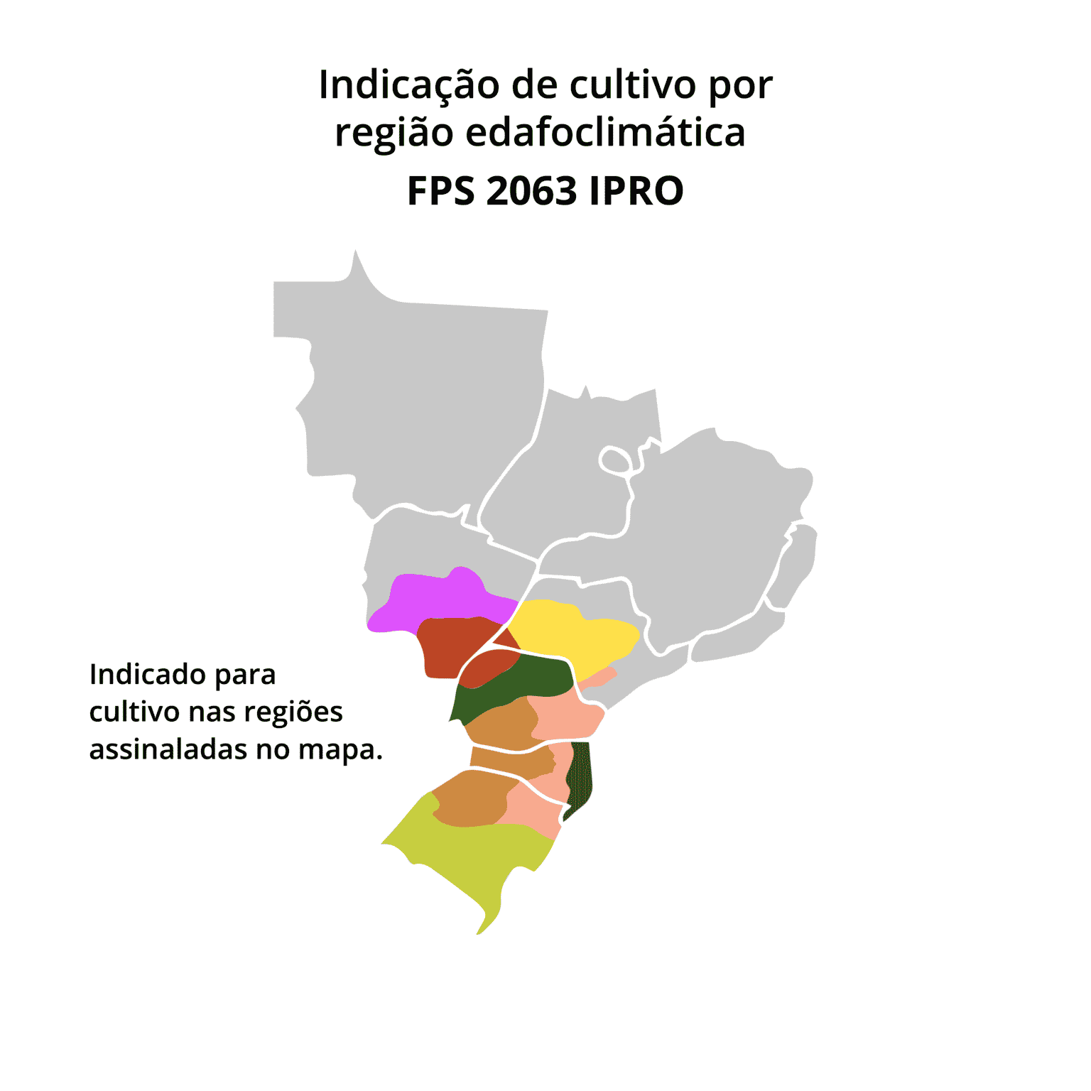 FPS 2063 IPRO - Rupollo Sementes